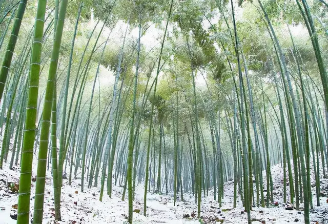 Folklore: The man grabs medicine for his mother and meets the girl ...