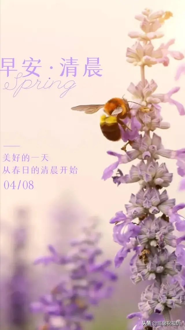 April 8, good morning! Beautiful morning, all is well - article| DayDayNews