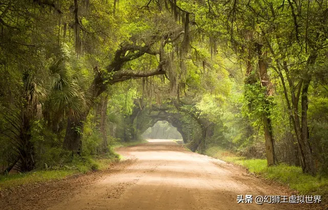 What is the seal of "Phantom Lion King" - buddhism| DayDayNews