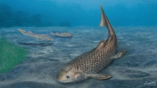 Discovered in ancient times丨390 million years ago, this fish had a ...